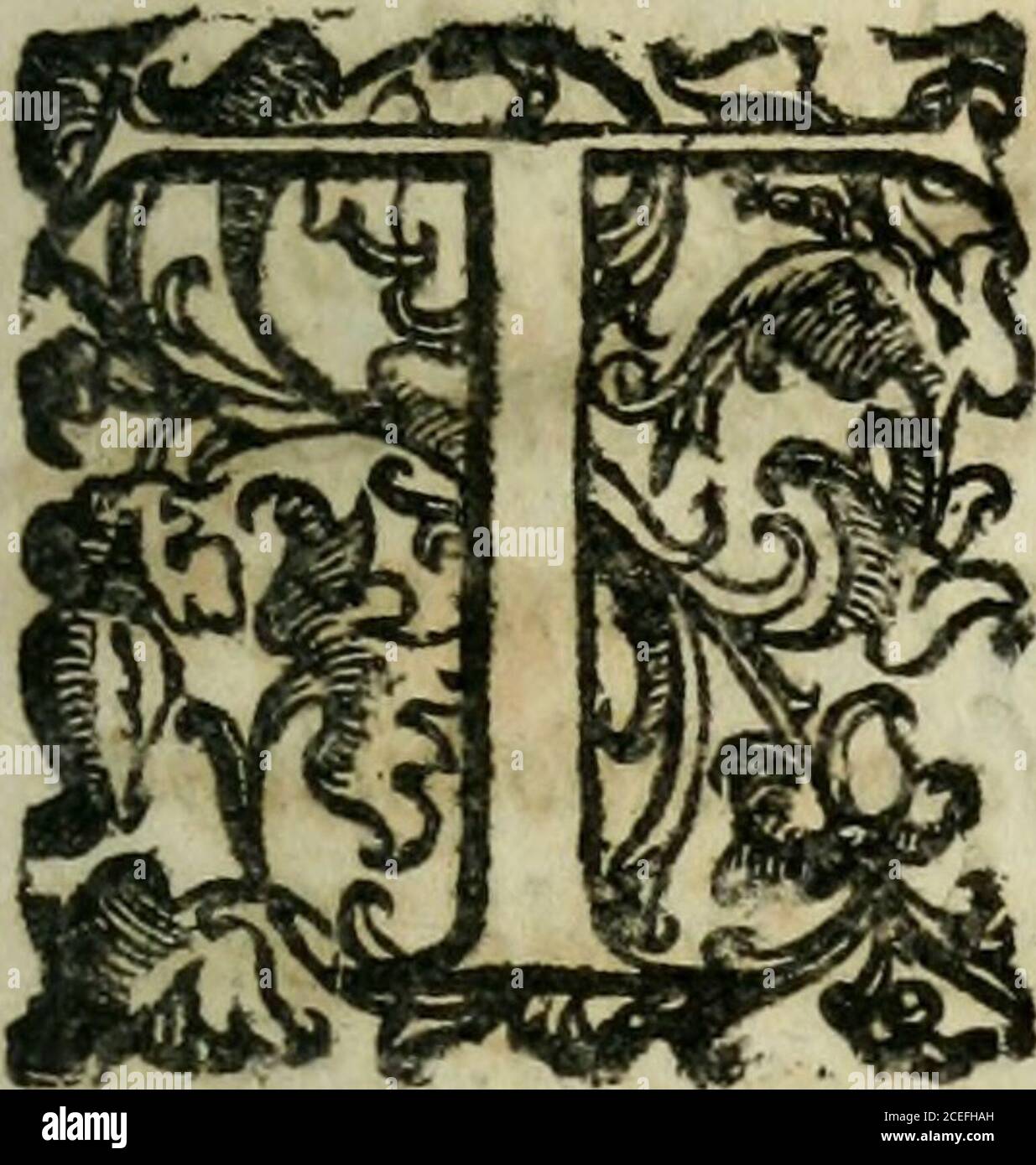 Sacrosan hi-res stock photography and images - Alamy