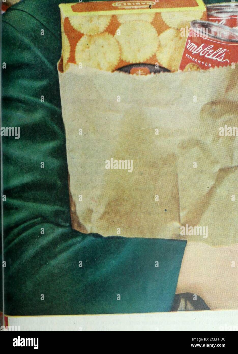 . The Ladies' home journal. BEEF 14 EEF ^EF JJW> I ifi tF mi ...