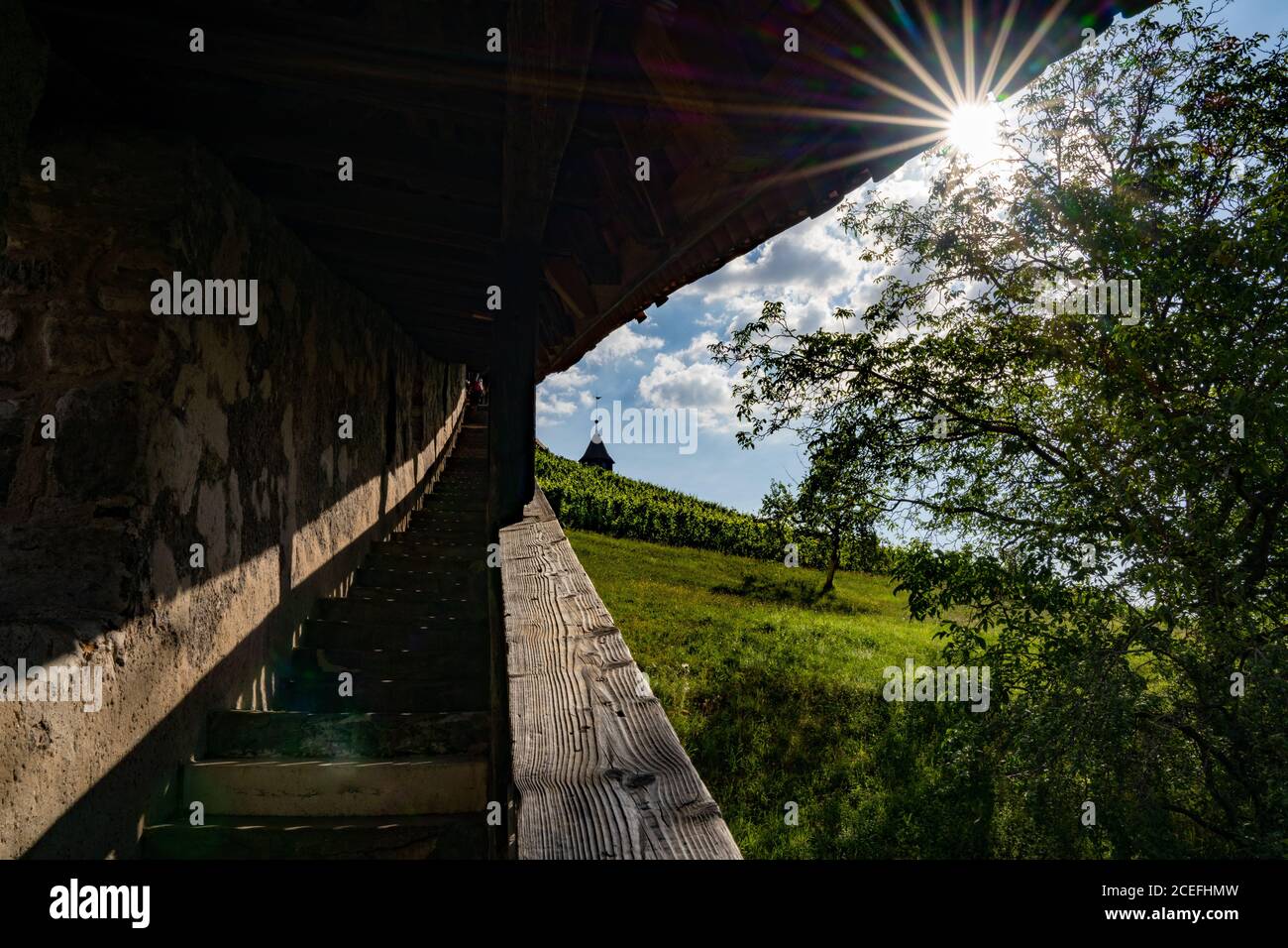 Vineyard watchtower hi-res stock photography and images - Alamy