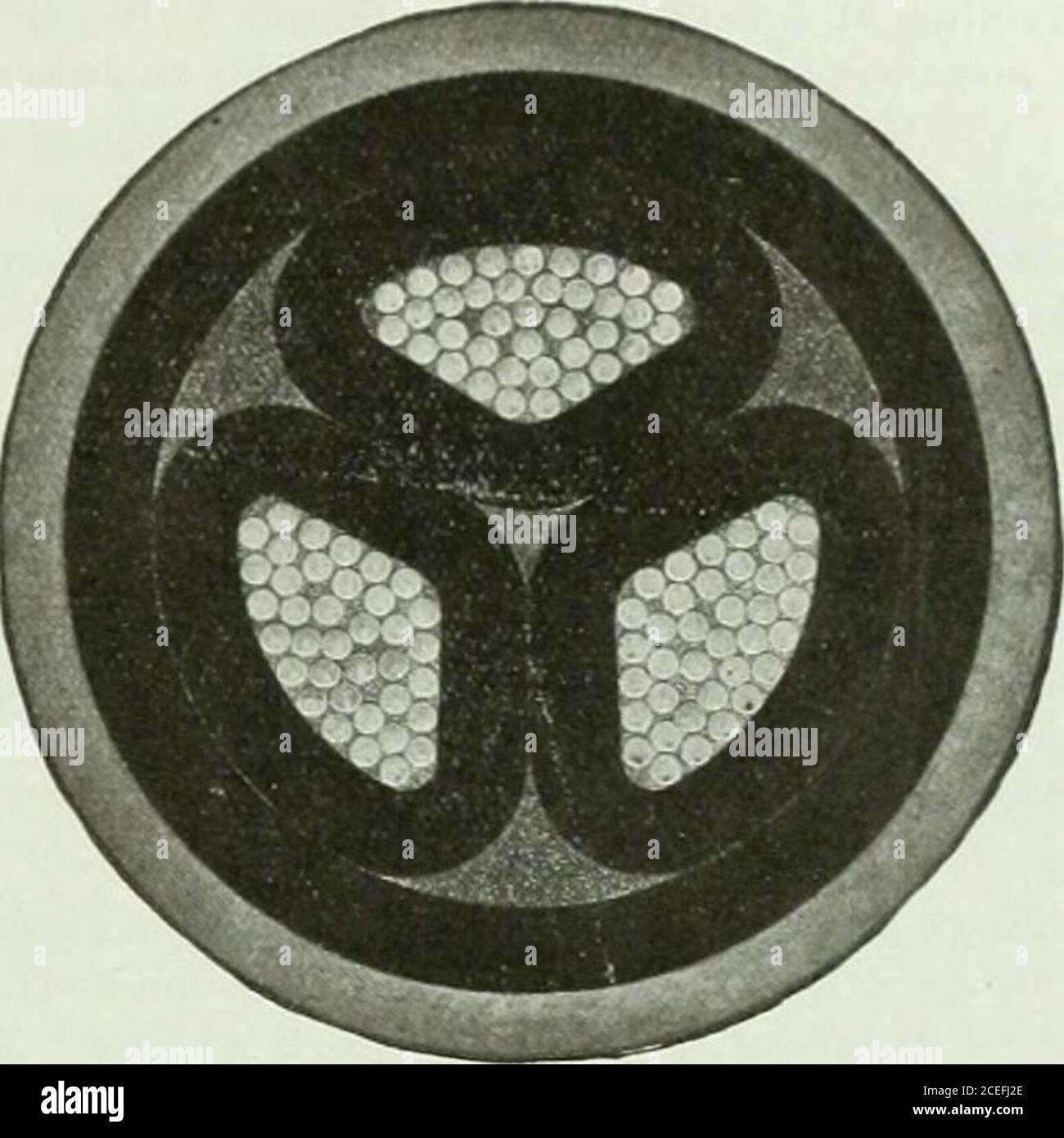 Electrical cable three insulated conductors hi-res stock photography ...