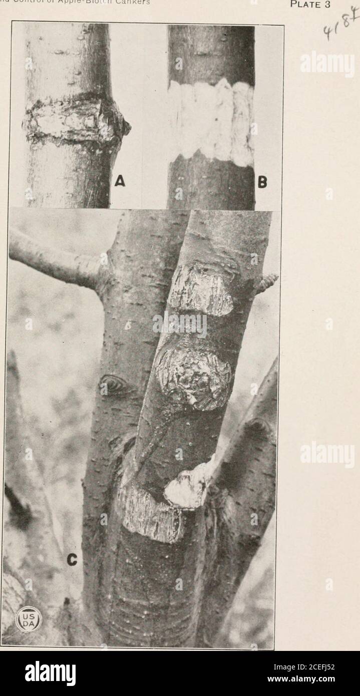 . Journal of Agricultural Research. Journal of Agricultural Research ...