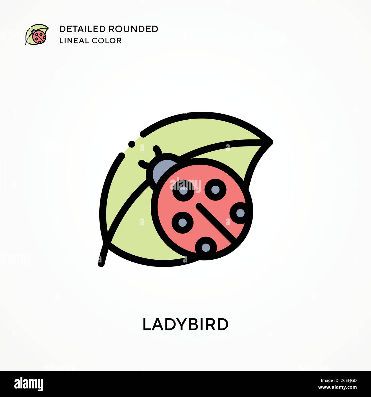 Ladybird detailed rounded lineal color. Modern vector illustration ...