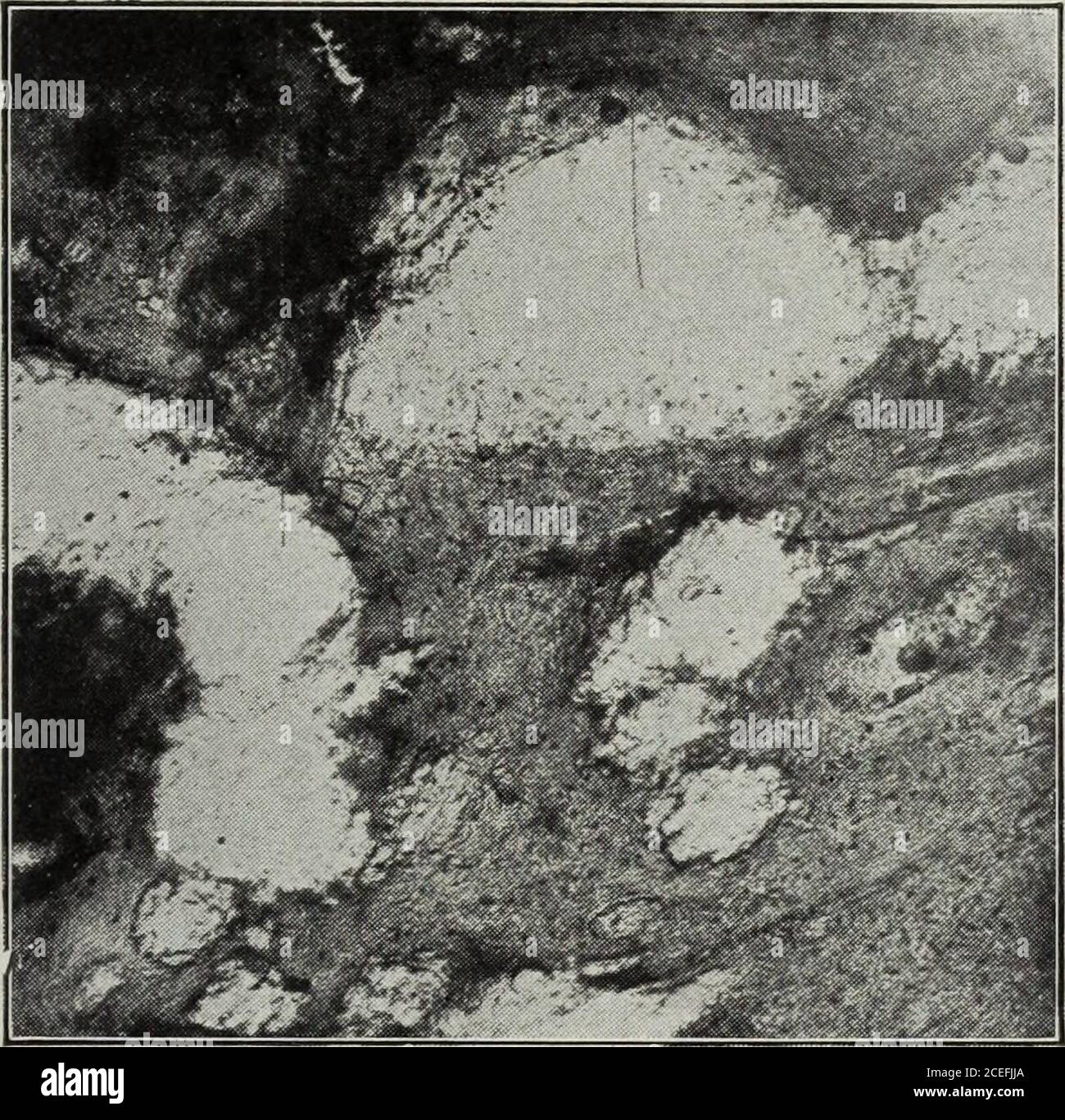 Pulp Stones High Resolution Stock Photography and Images - Alamy