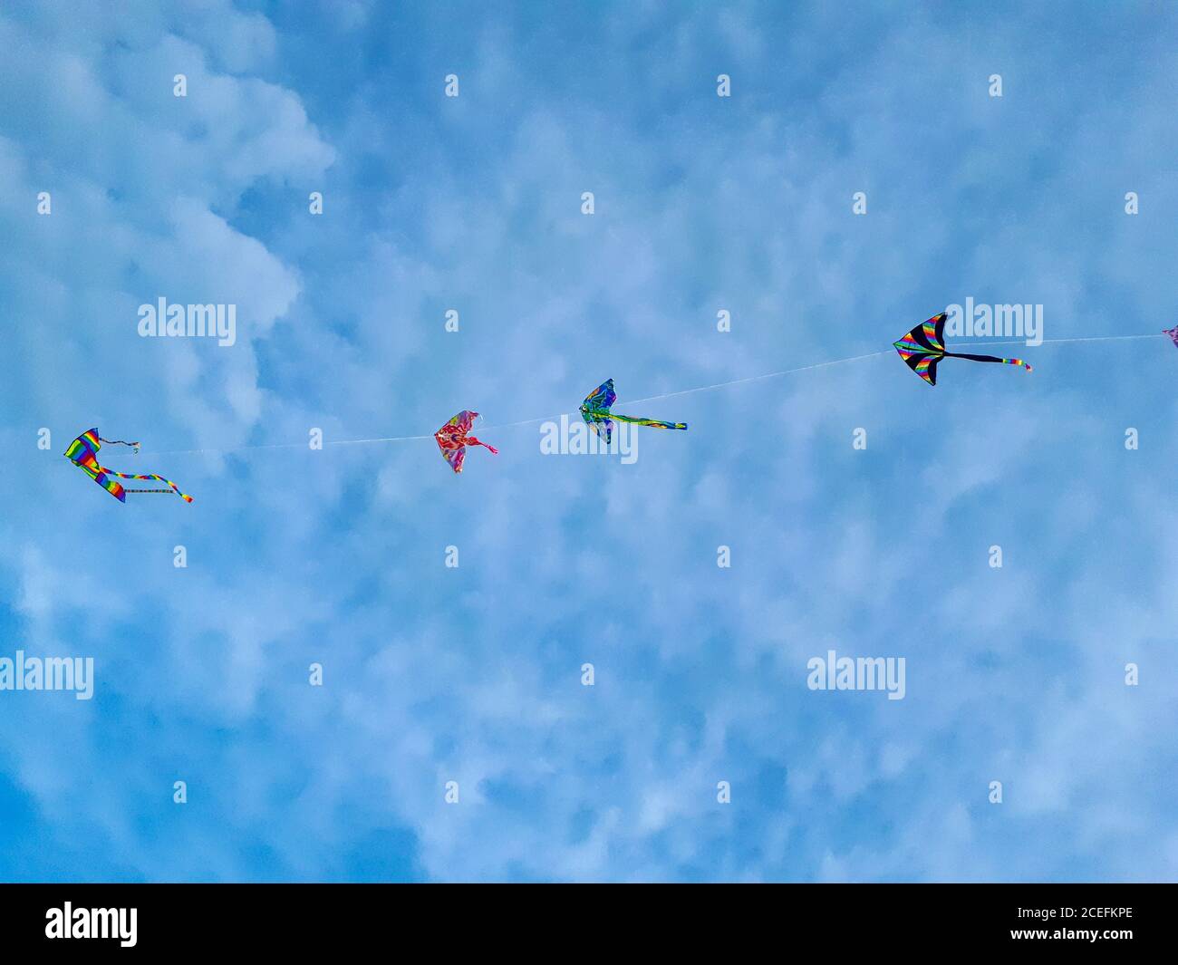 Many bright colorful flying kites hi-res stock photography and images ...