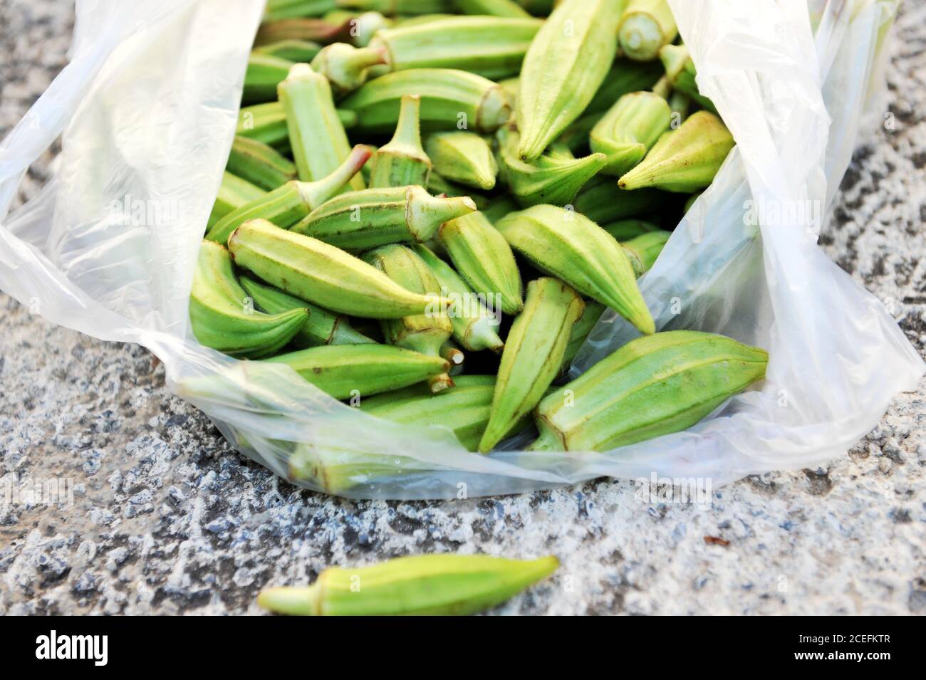 fresh okra in a nylon bag Stock Photo - Alamy