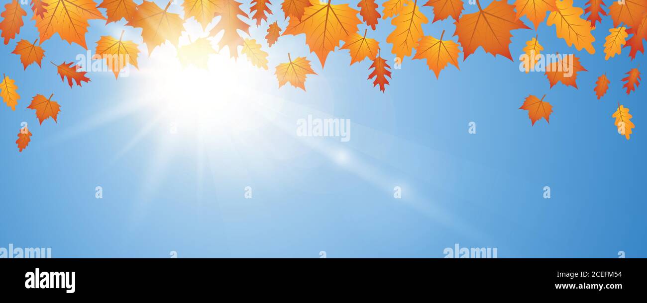 falling autumn leaves on sunny sky background vector illustration EPS10 ...