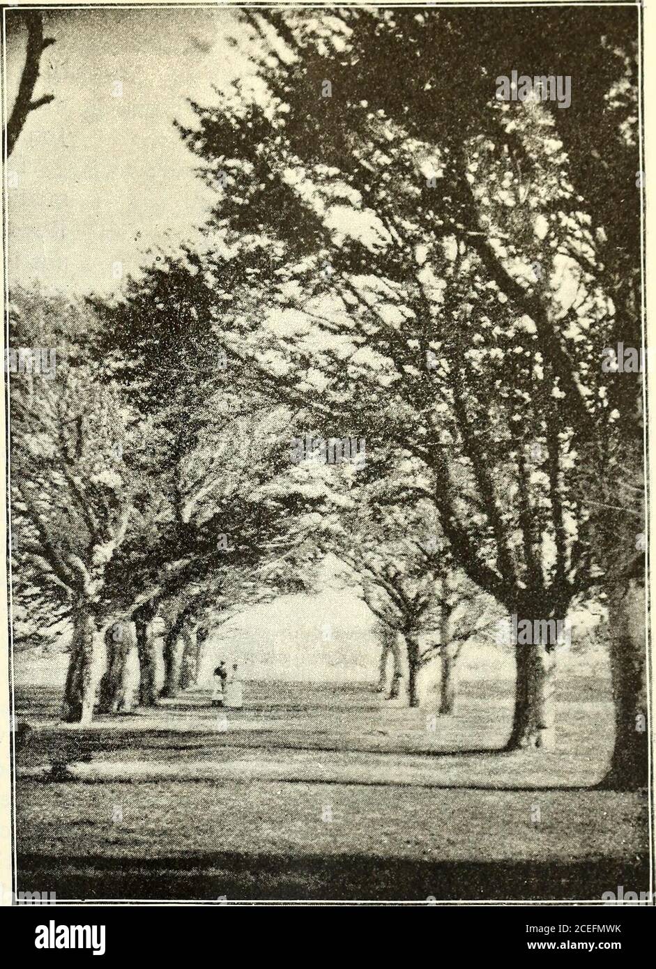 Magazine brin hi-res stock photography and images - Alamy