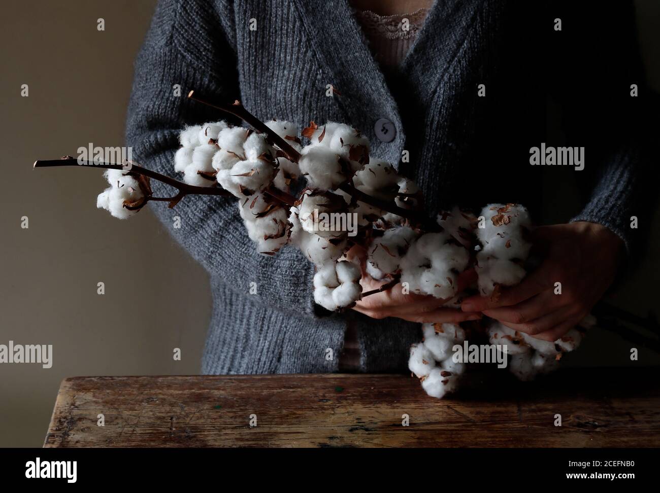 Crop Woman with cotton twigs Stock Photo - Alamy