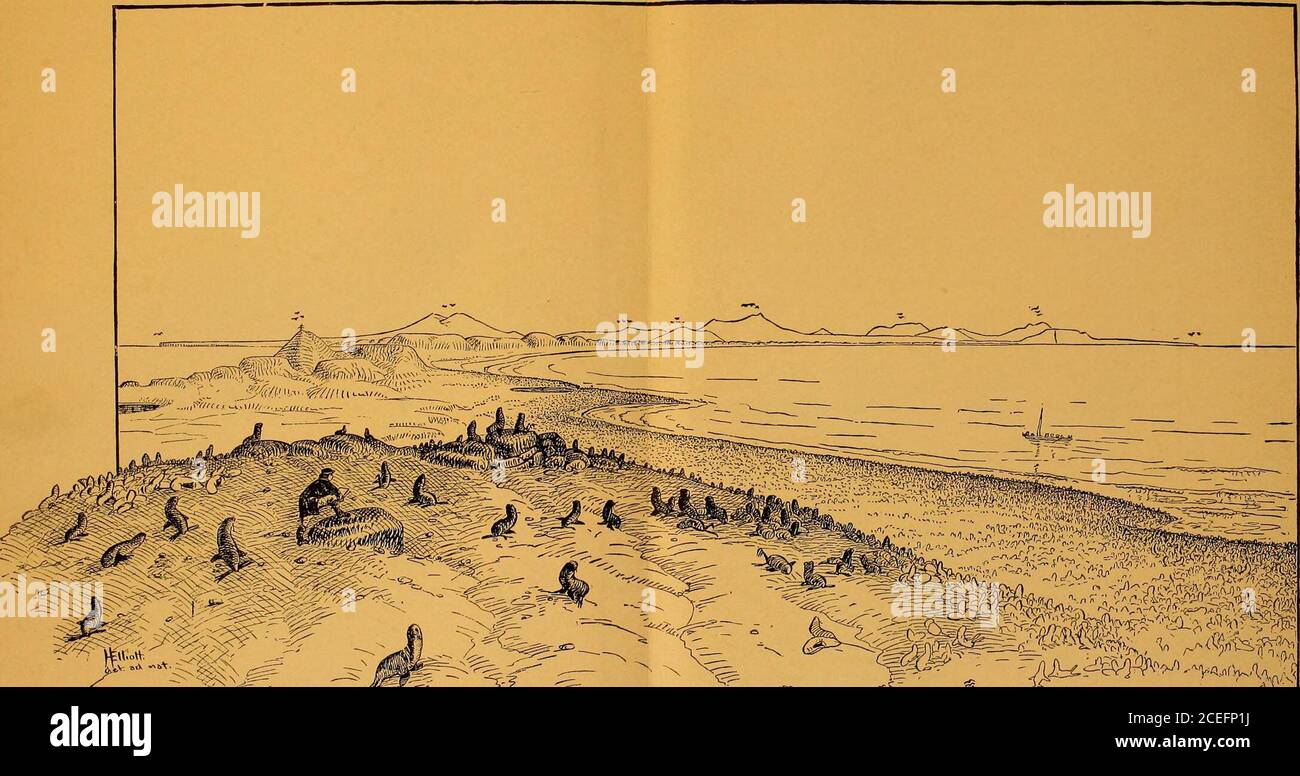 Paradefield hi-res stock photography and images - Alamy