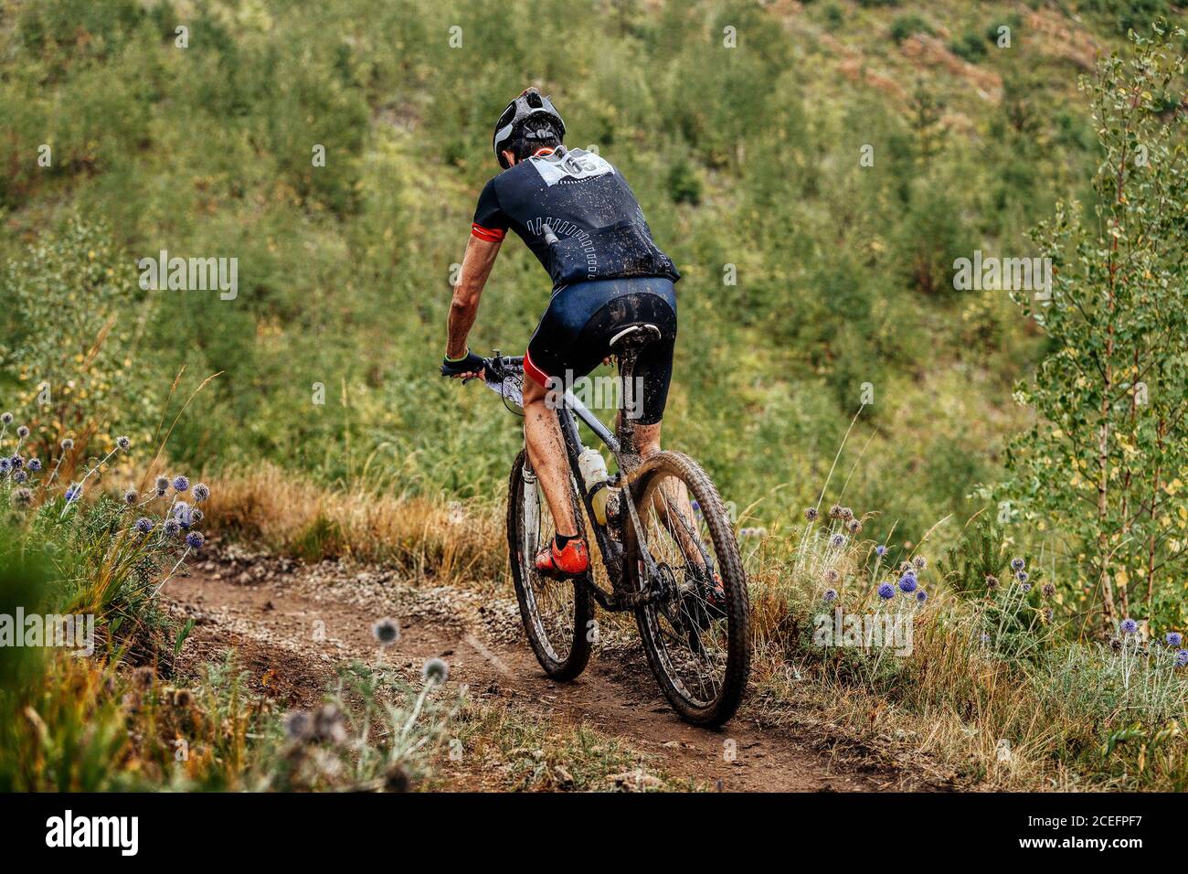 Cycling nature trail hi-res stock photography and images - Alamy