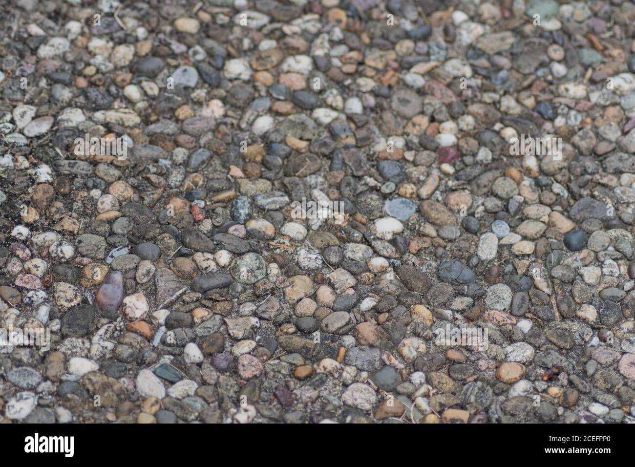 Detailed background of a pebbly surface Stock Photo - Alamy