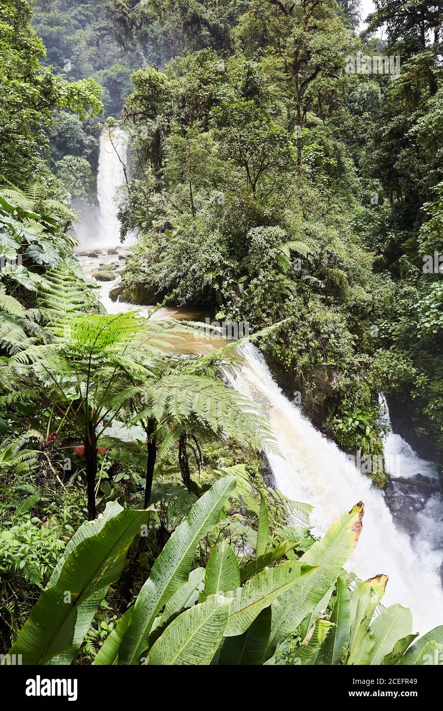 Beautiful waterfall lush jungle sunlight hi-res stock photography and ...