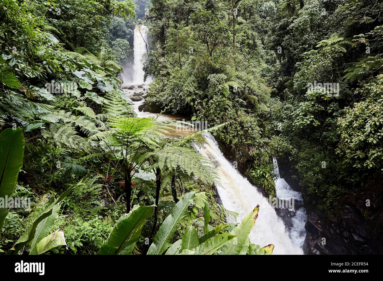 Waterfall in beautiful rainforest Stock Photo - Alamy