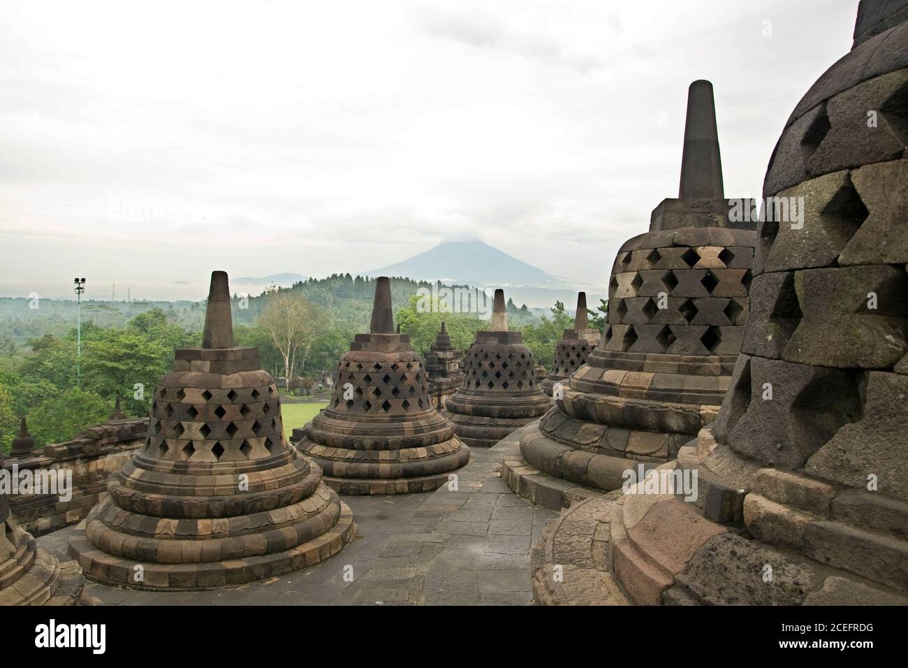 Large stone tollers placed in tropical forest in cheerless day in ...