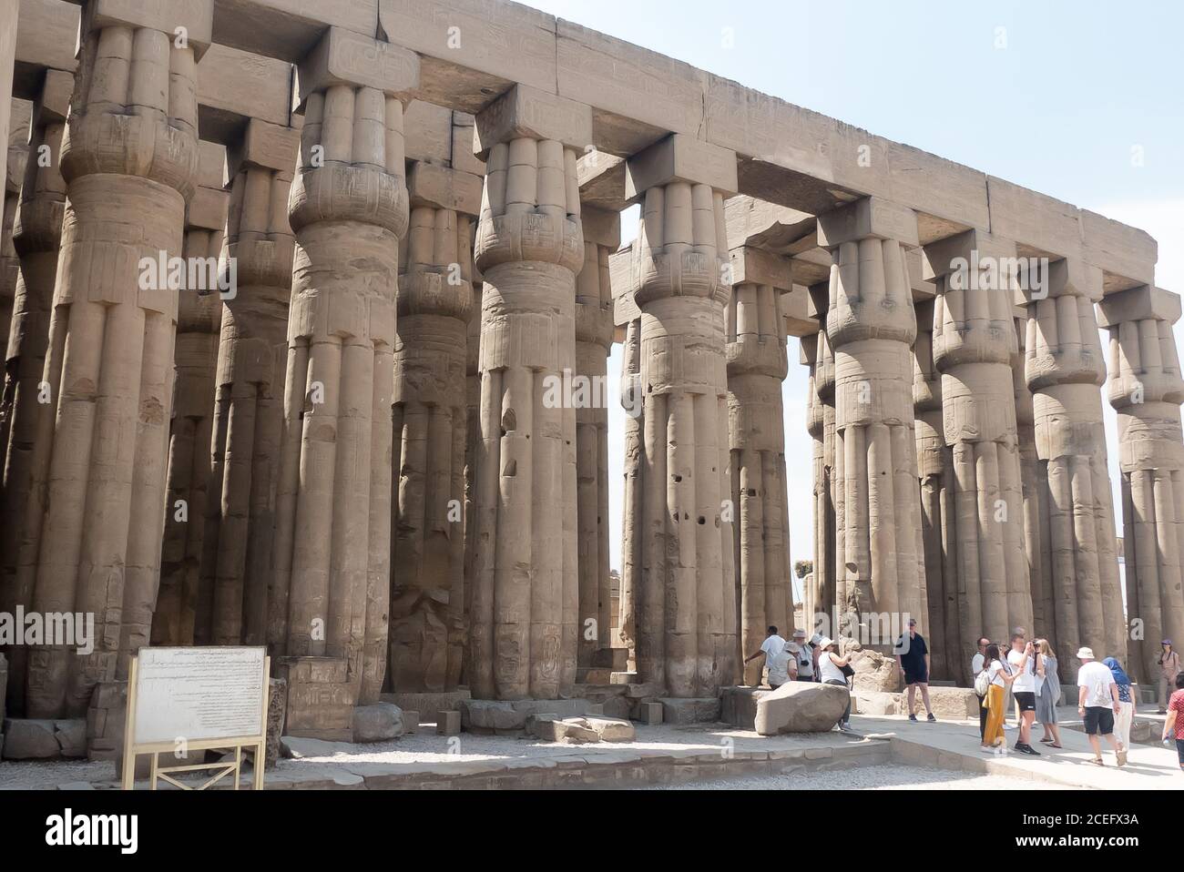 Egypt: Lotus Columns in the Luxor Temple complex Stock Photo - Alamy