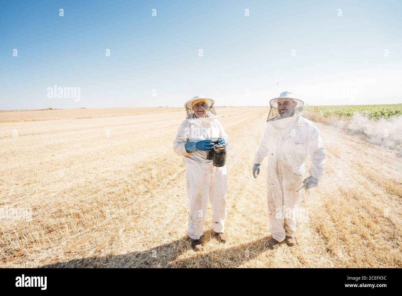 Beekeepers working collect honey beekeeper hi-res stock photography and ...