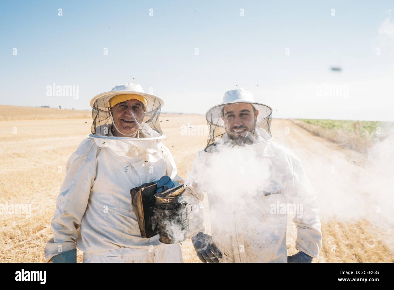 Beekeepers work hi-res stock photography and images - Alamy