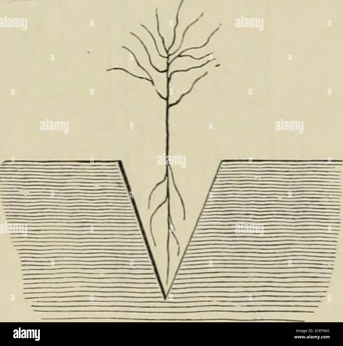 Havedeveloped hi-res stock photography and images - Alamy