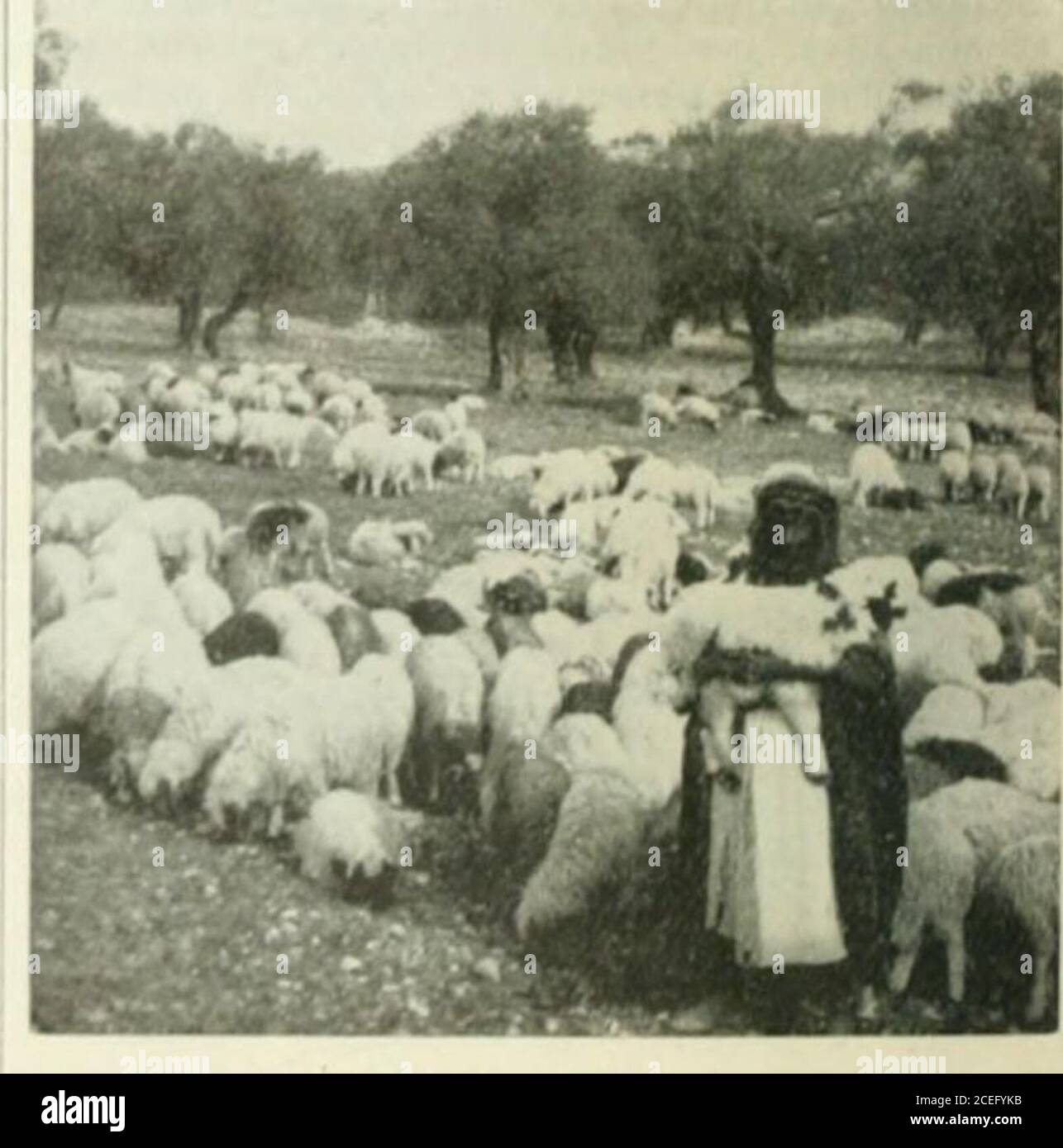 Inum hi-res stock photography and images - Alamy