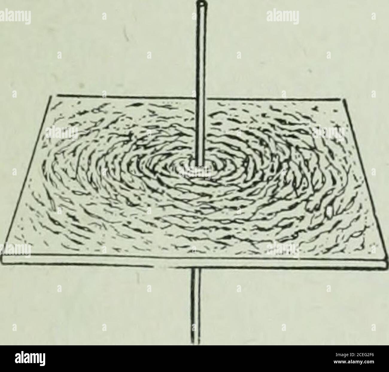 Magnetic Field Around A Wire Iron Filings