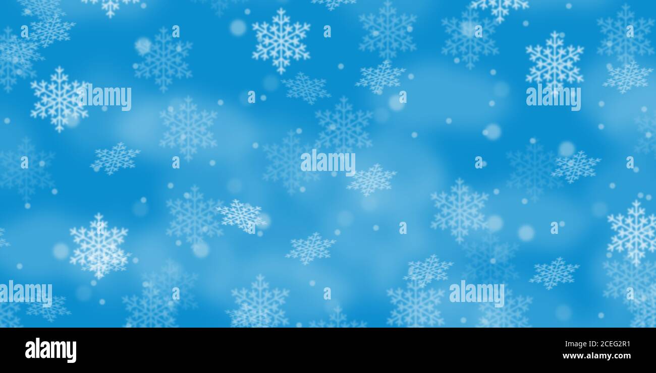 Winter Snow Banner