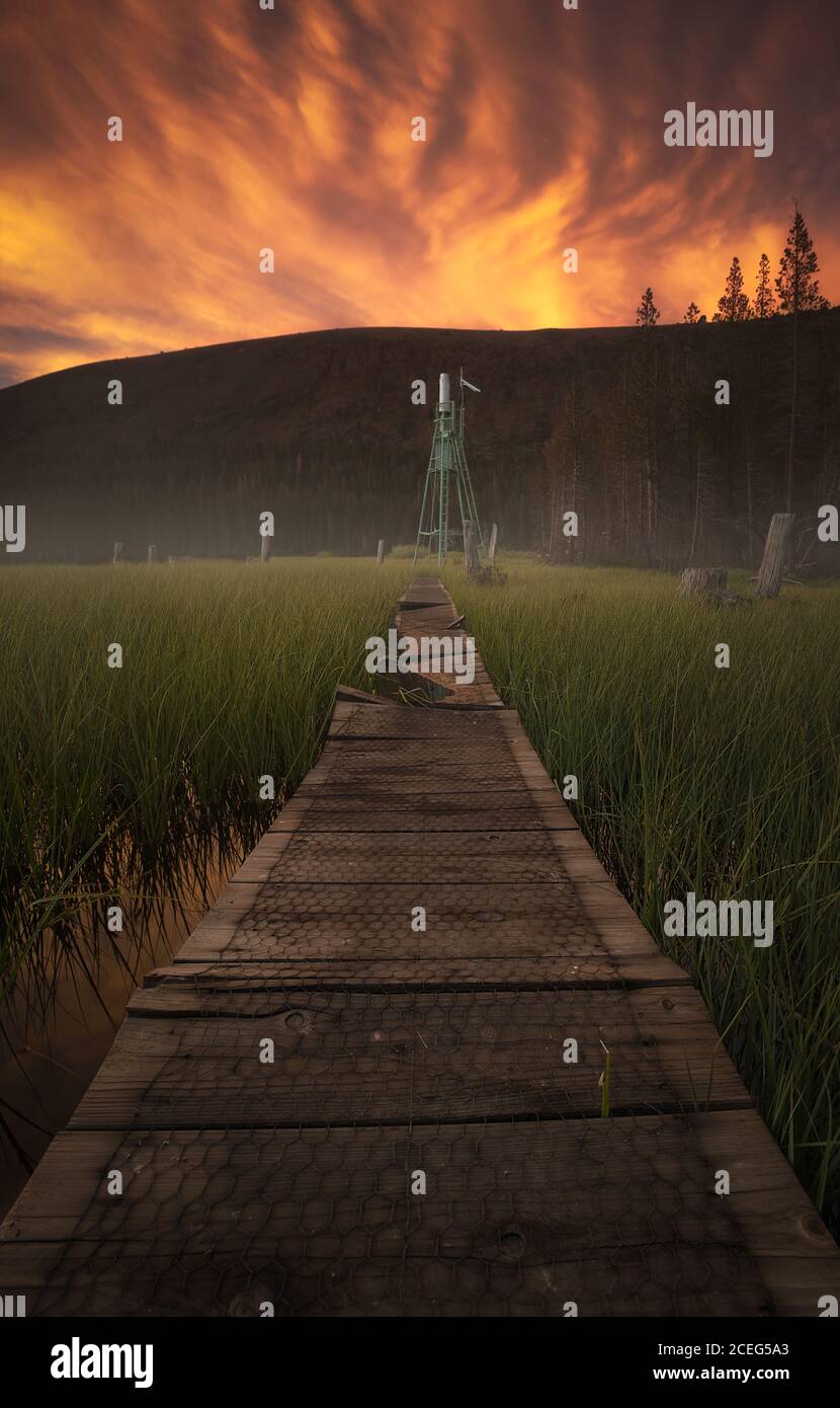Beautiful paddy field hi-res stock photography and images - Alamy