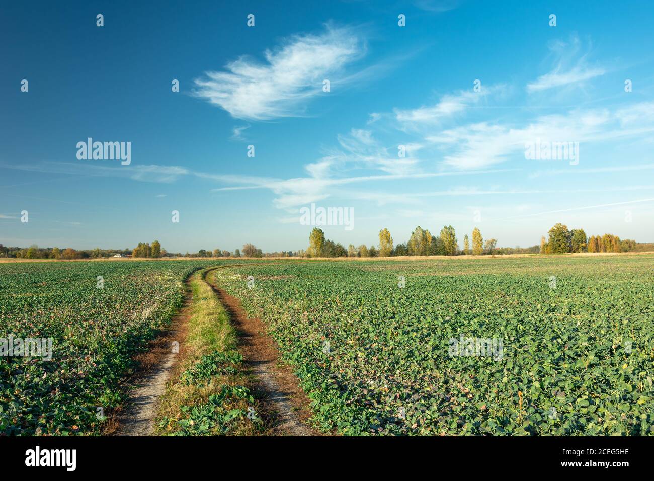Green country hi-res stock photography and images - Alamy