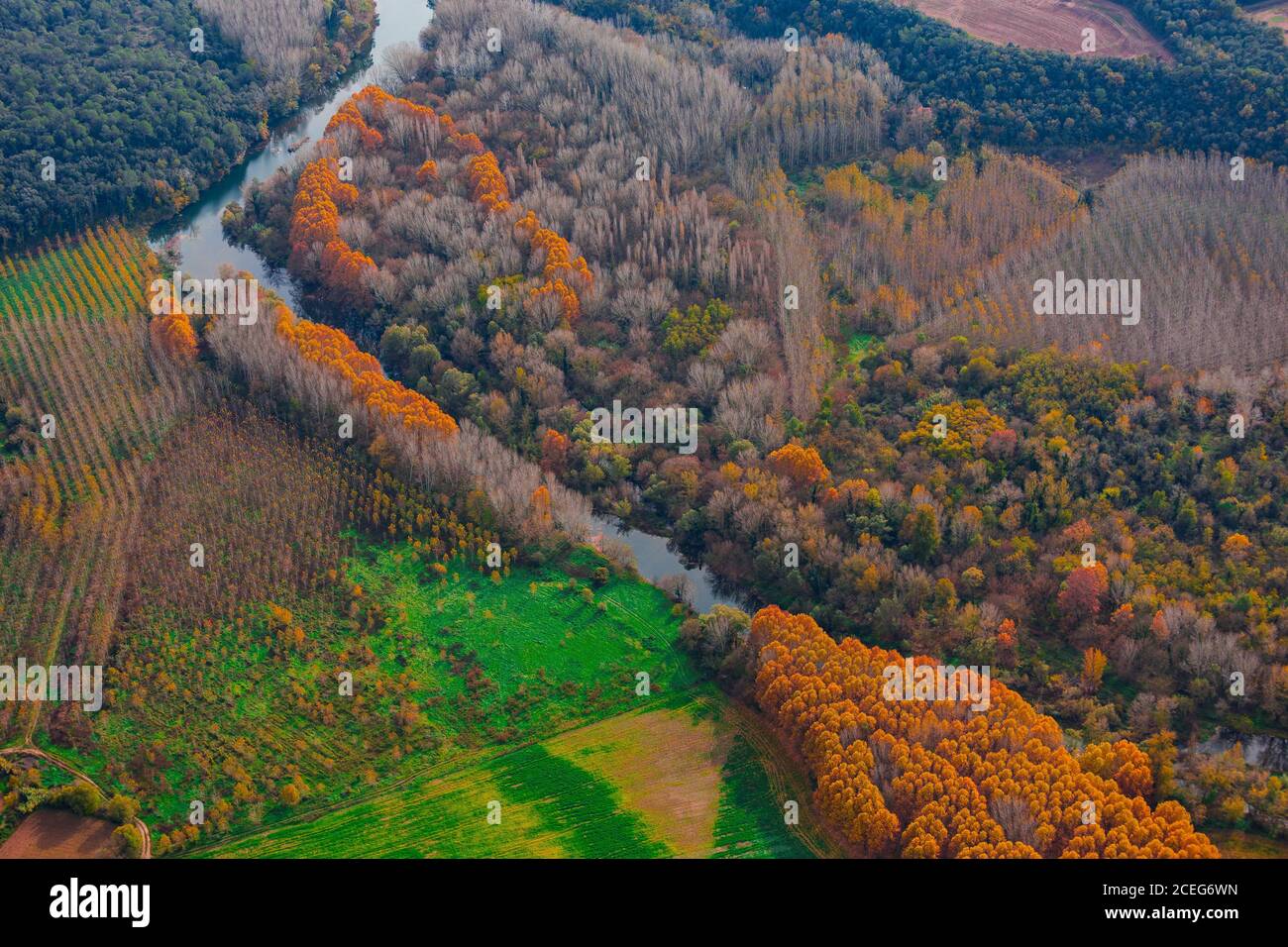 Beautiful aerial view of thin river floating between autumn forest and ...