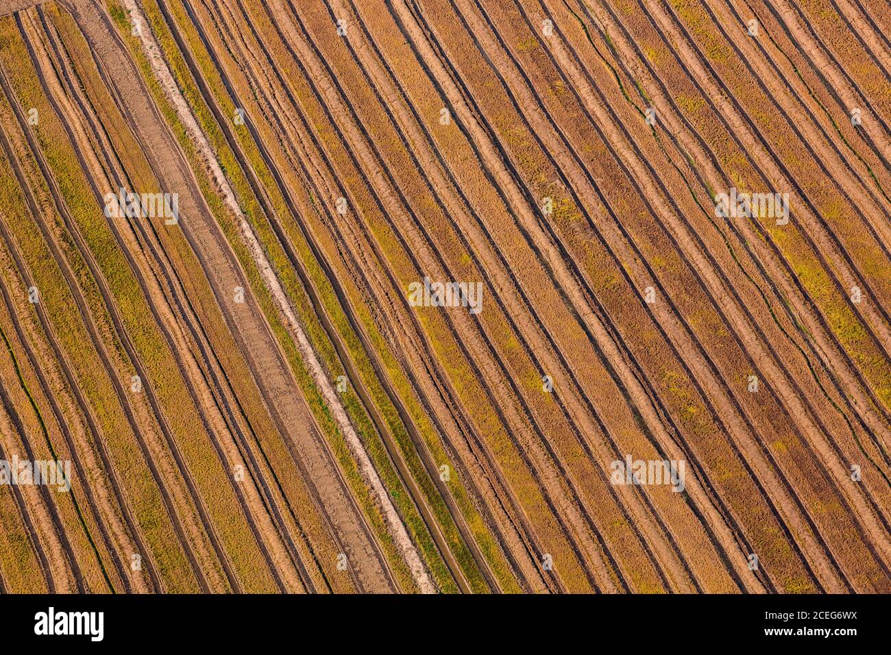 Aerial view of striped fields Stock Photo - Alamy