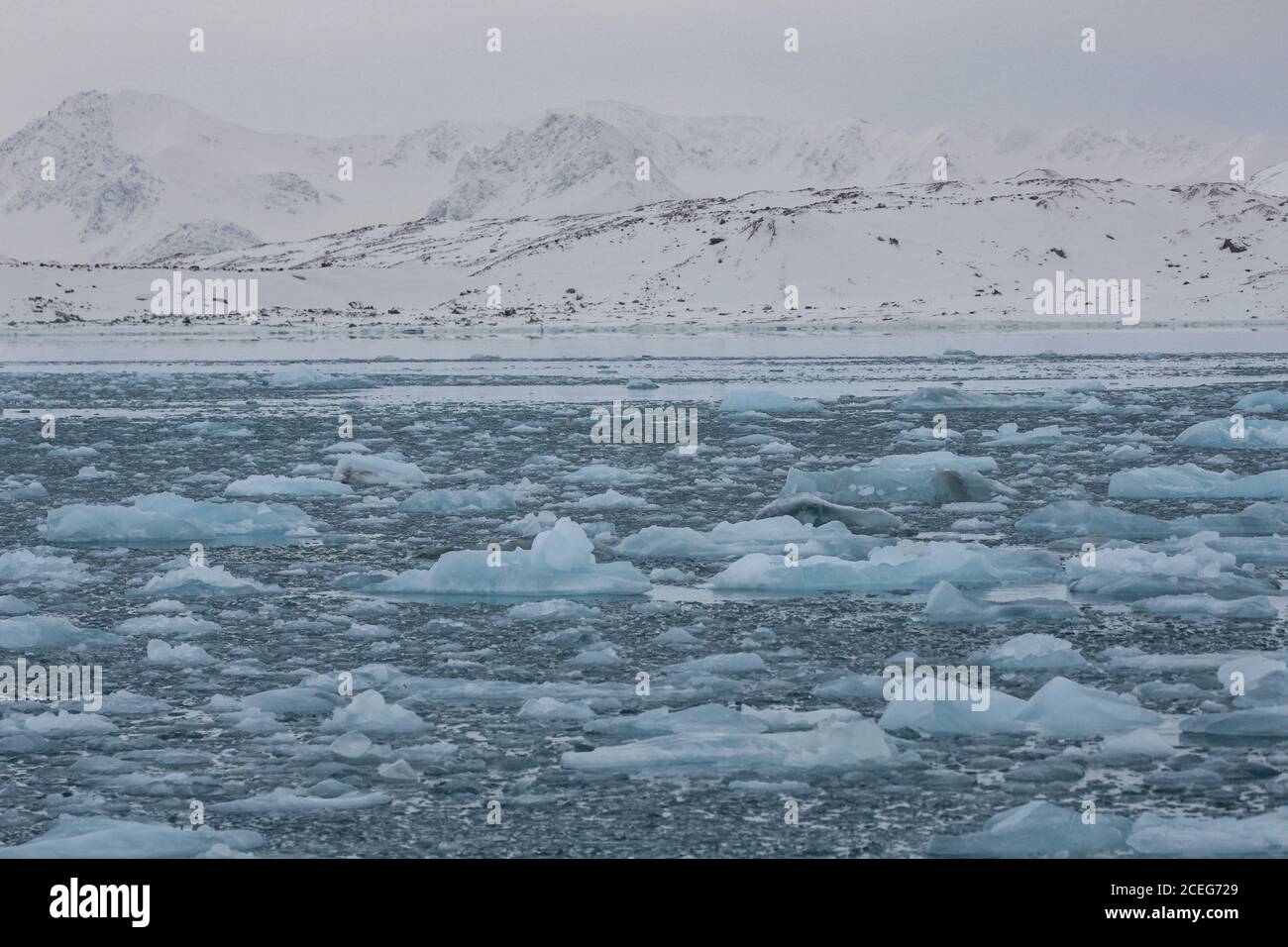 Ice floating in water Stock Photo - Alamy