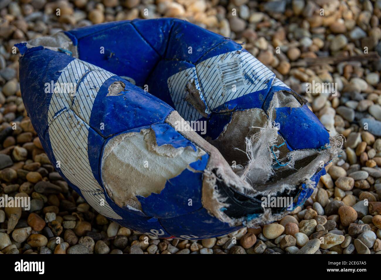 Destructive dog hi-res stock photography and images - Alamy