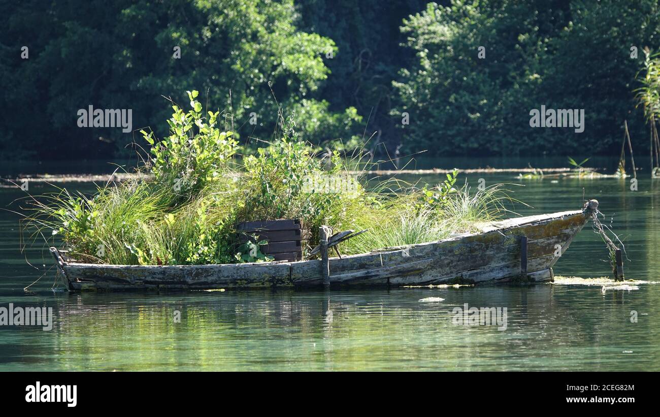 A floating boat with grass hi-res stock photography and images - Alamy