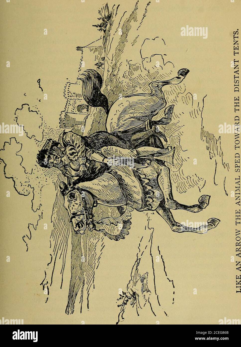 Riding amazons hi-res stock photography and images - Alamy