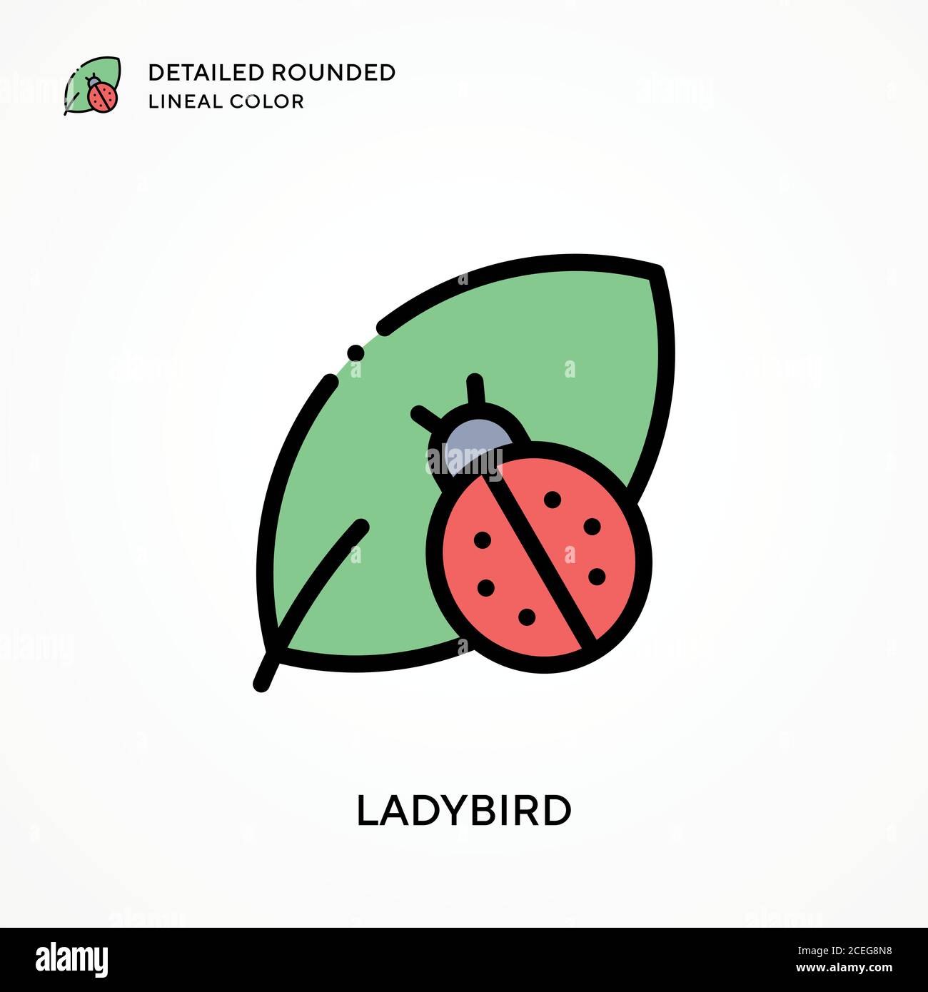Ladybird detailed rounded lineal color. Modern vector illustration ...