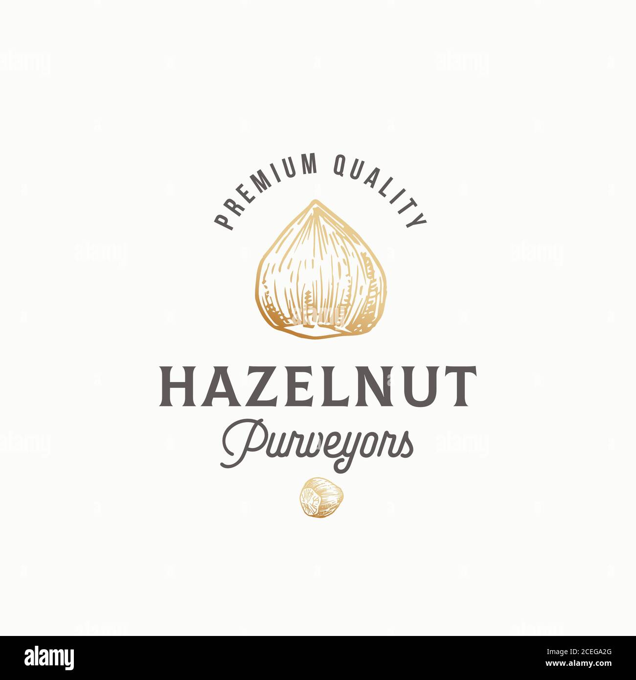 Hand drawn nuts and seeds doodle sketch peanut hi-res stock photography ...