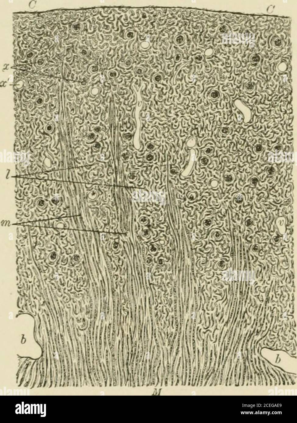 Thelabyrinth hi-res stock photography and images - Alamy