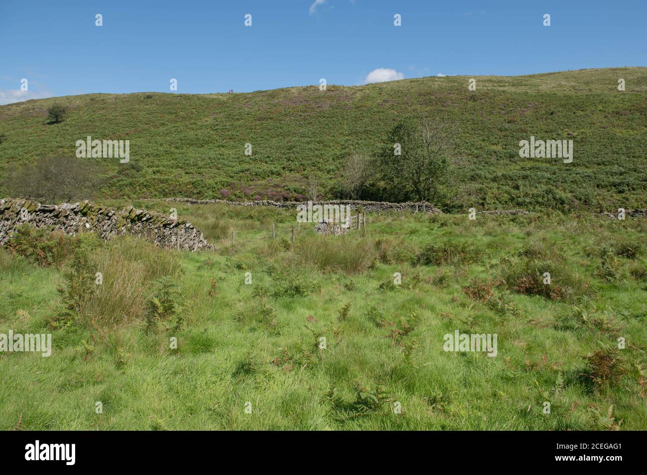 Panoramic moorland hi-res stock photography and images - Alamy