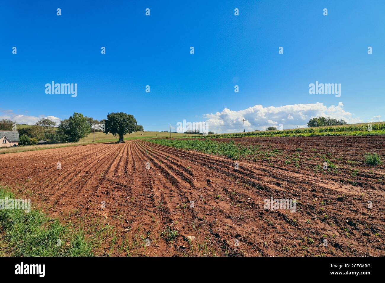 Devon farmland valley summer hi-res stock photography and images - Alamy