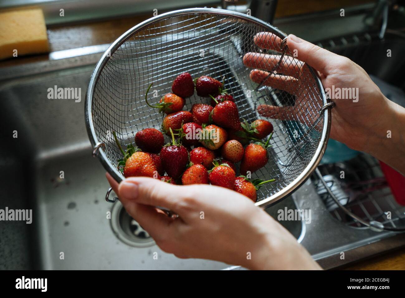Crop female hands holding wire strainer with bright fresh strawberries ...