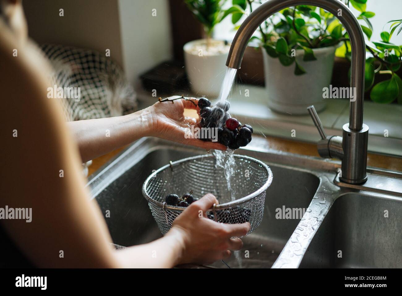 Crop female hands holding wire strainer with bright grapes strawberries ...
