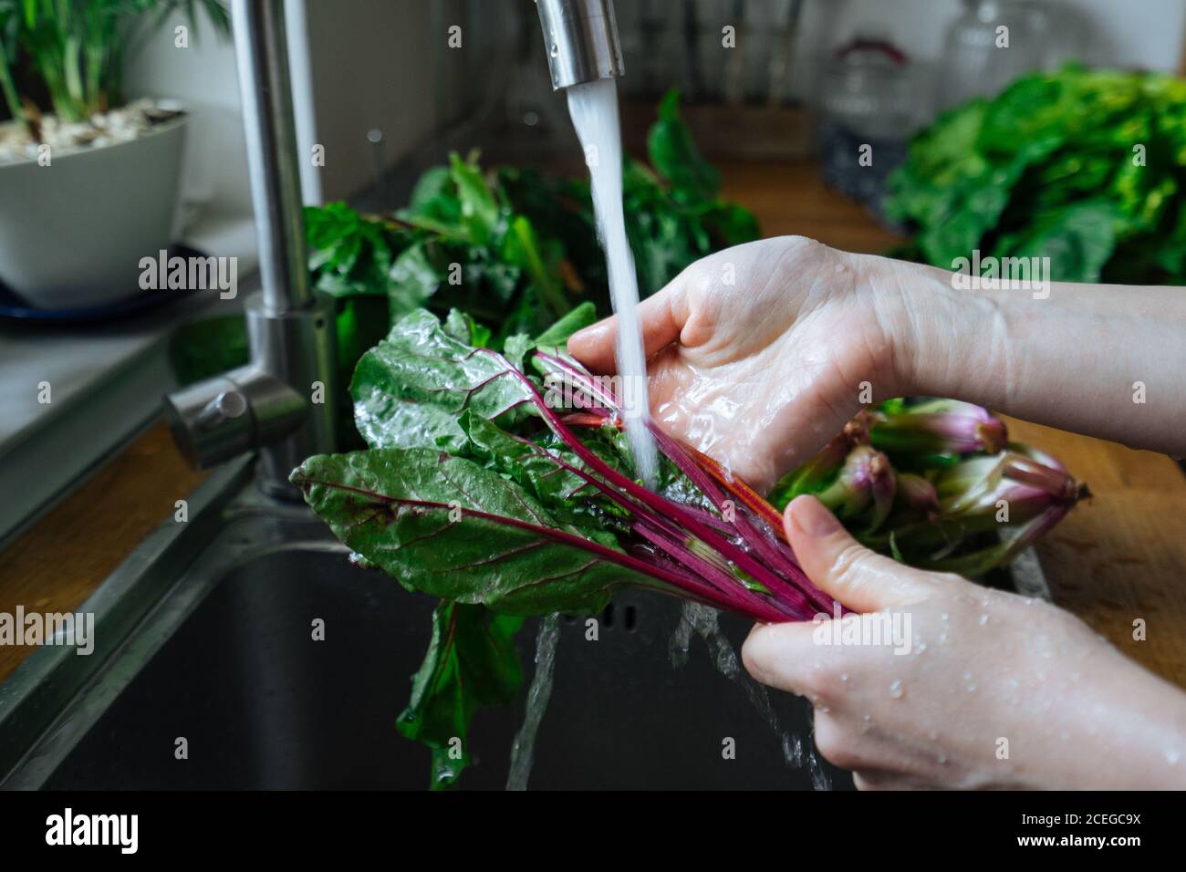 Woman washing fresh vegetables in kitchen Stock Photo - Alamy