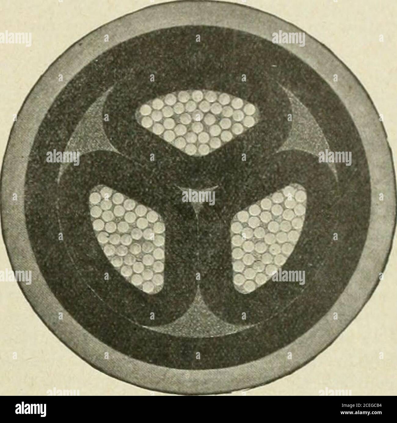 Cable cross sections hi-res stock photography and images - Alamy