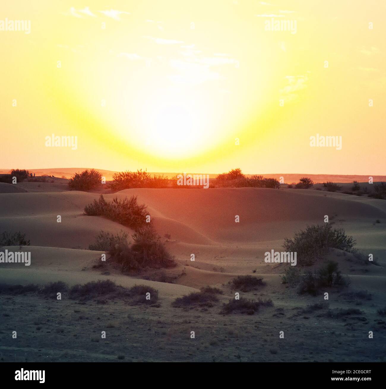 Sunset in the desert Stock Photo - Alamy