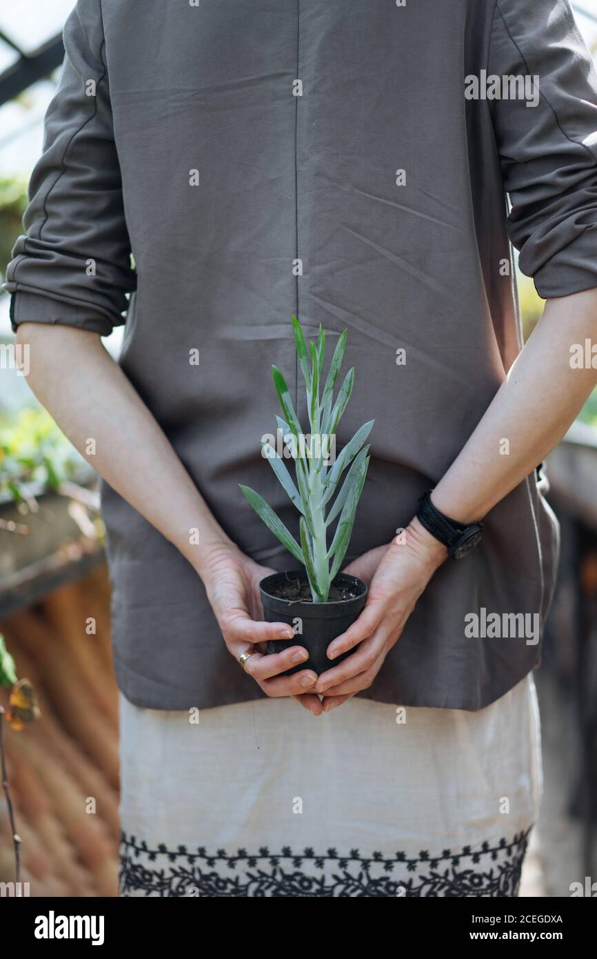 Crop female in summer dress and jacket holding in hands small black pot ...