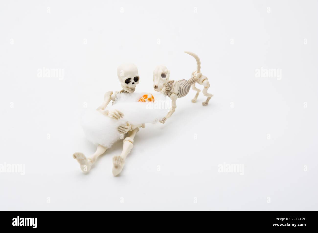 Skeleton mother with her children and a skeleton dog, happy moment for ...