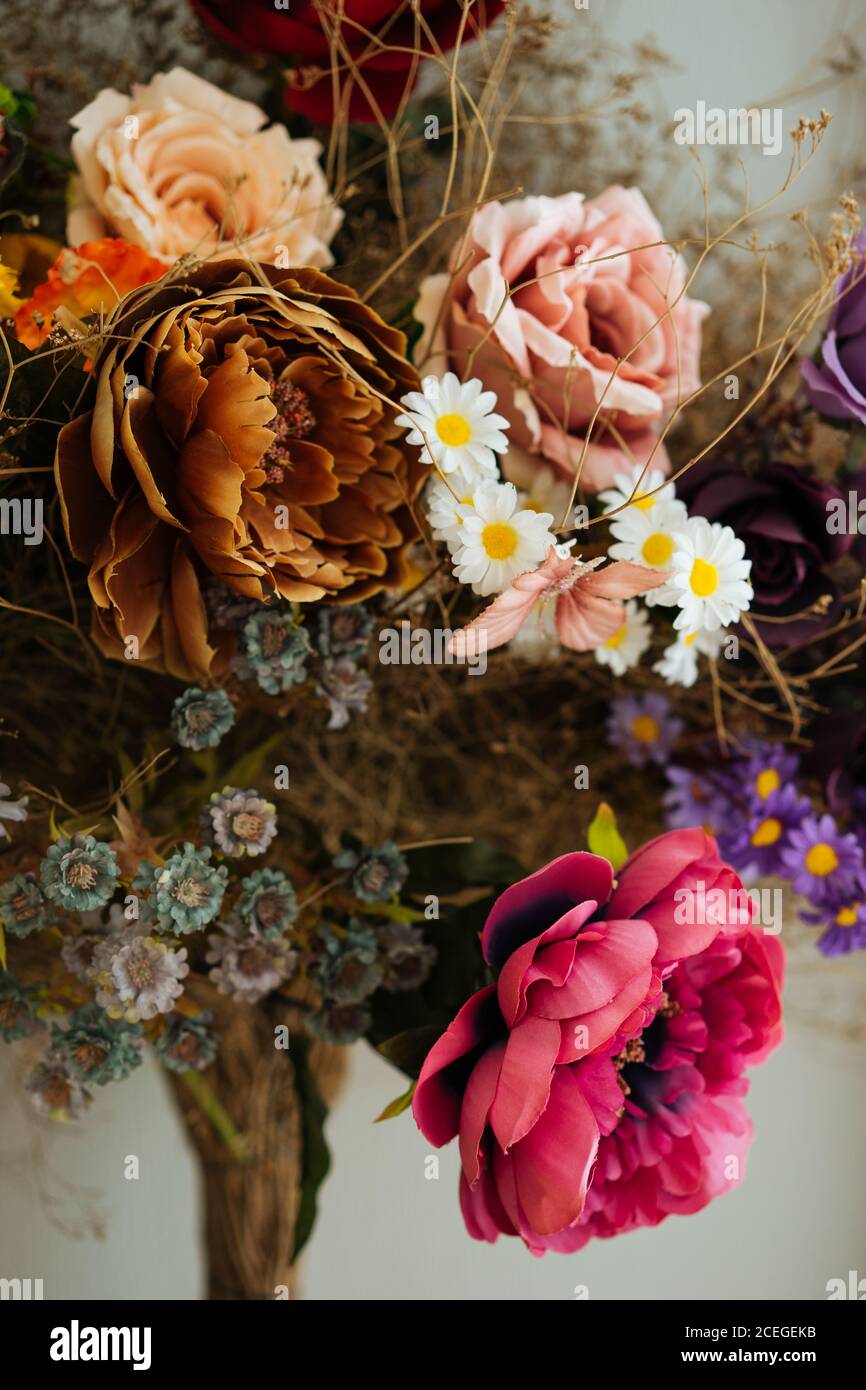 Showy wildflowers hi-res stock photography and images - Alamy