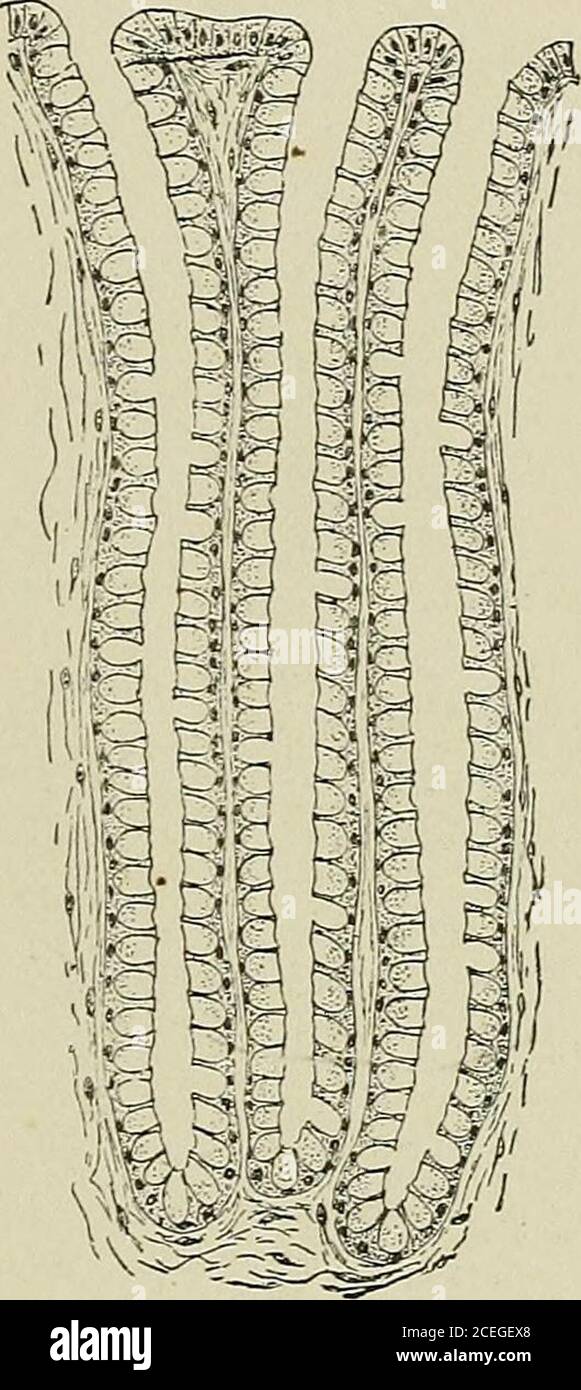 Bulk tissues hi-res stock photography and images - Alamy