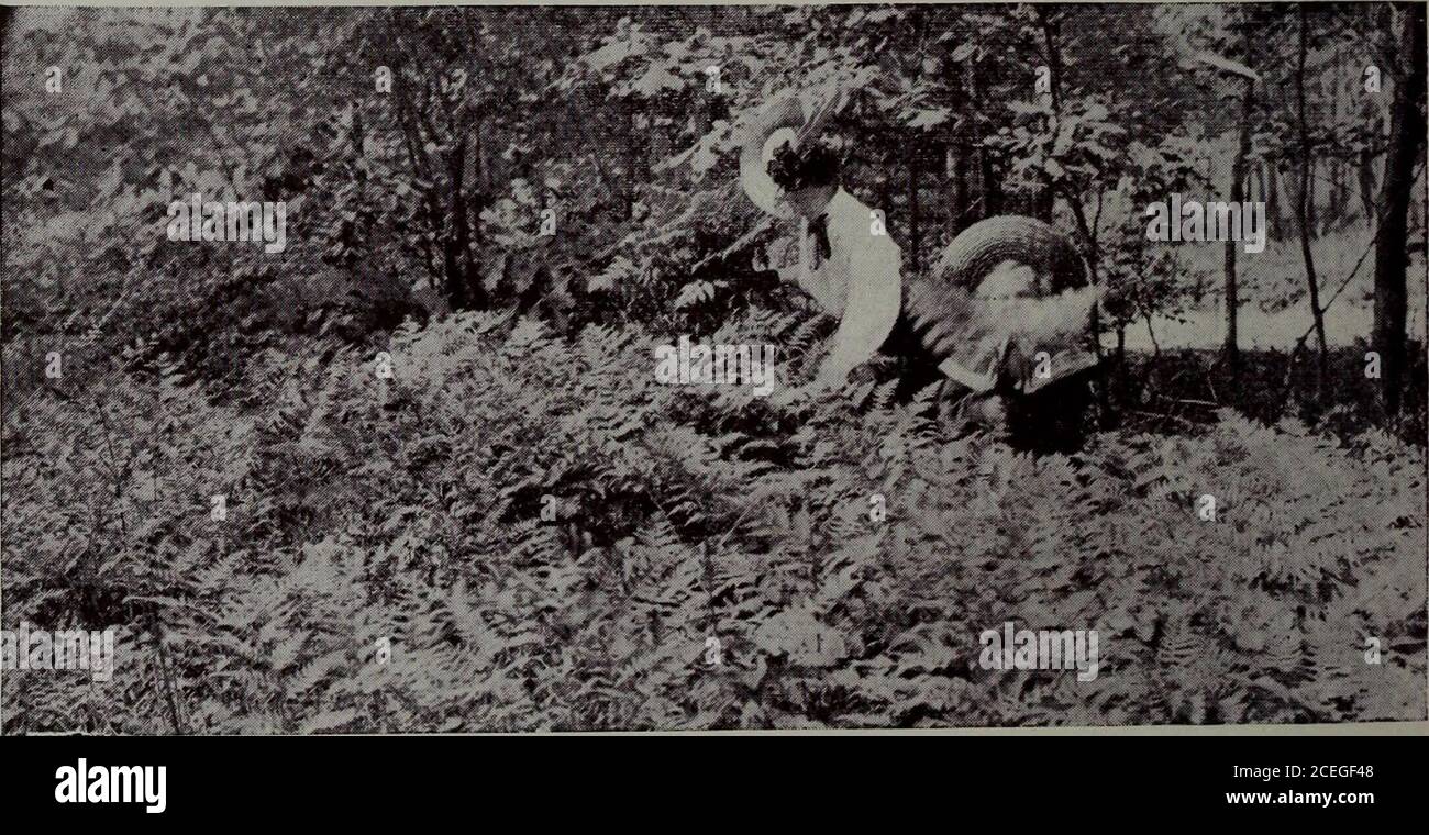 Ronde maps hi-res stock photography and images - Alamy