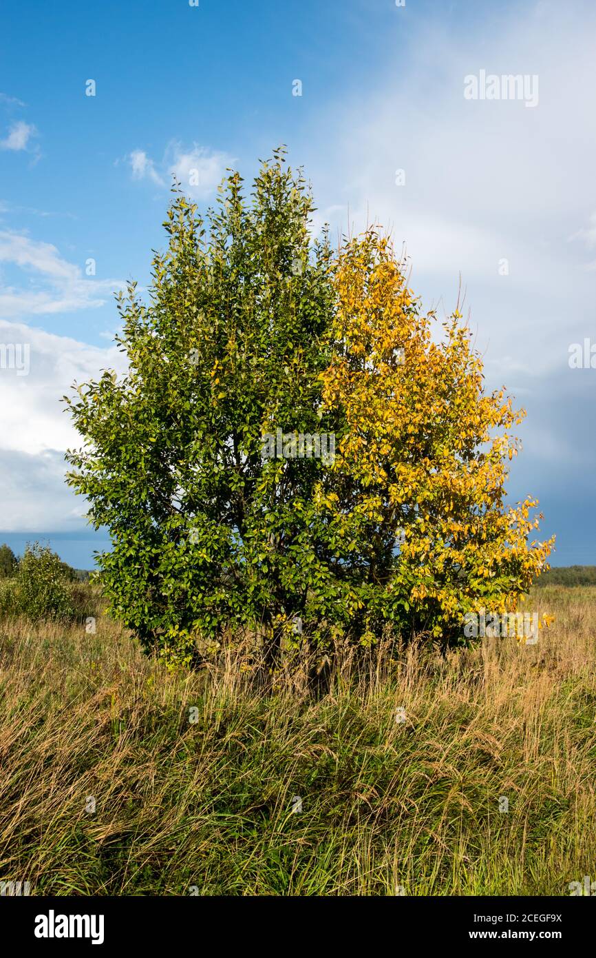 Seasons changing calendar hi-res stock photography and images - Alamy