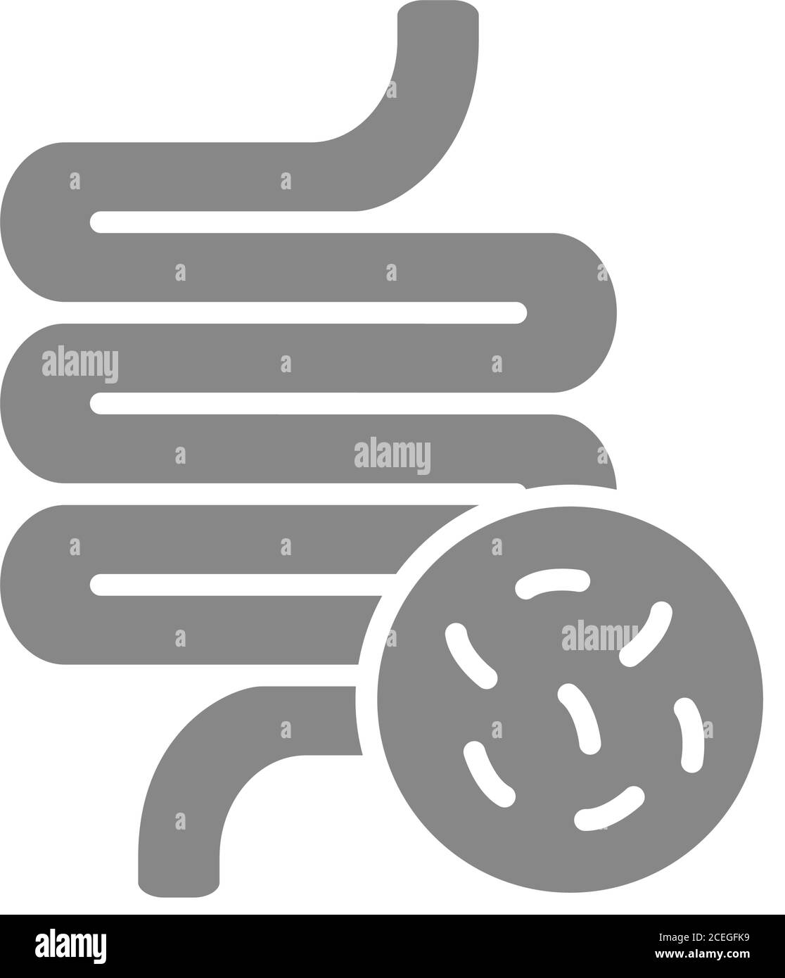 Intestine with bacteria grey icon. Diseased internal organ symbol Stock ...